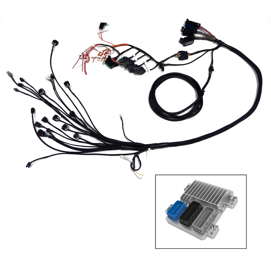 CBM MOTORSPORTS™ COMPLETE STANDALONE WIRING HARNESS AND E67 OEM ECU FOR ...